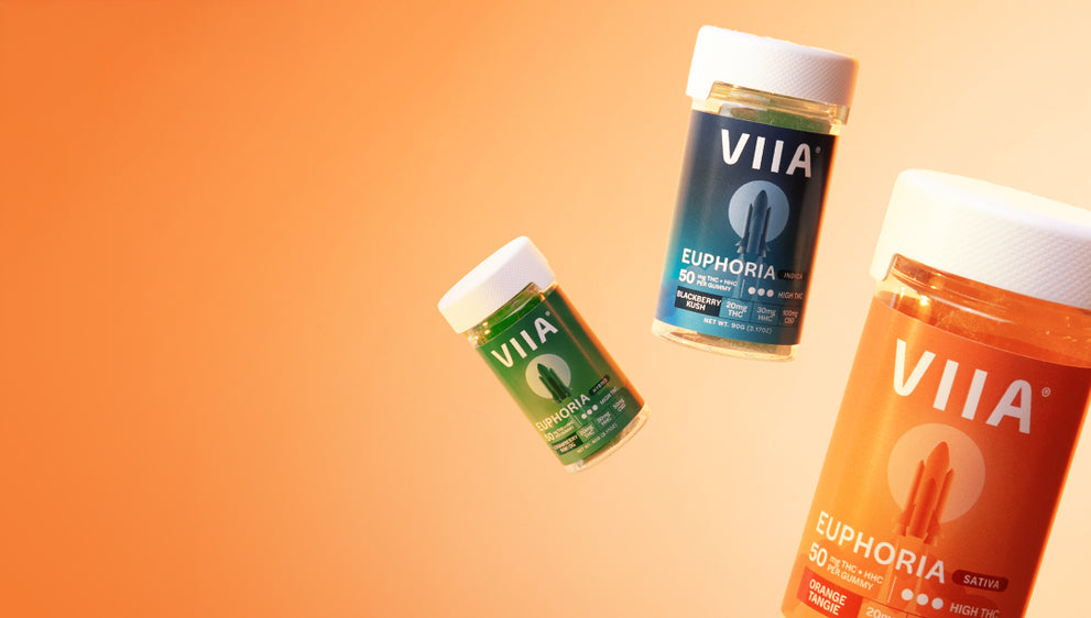 About Us & Our Story | VIIA