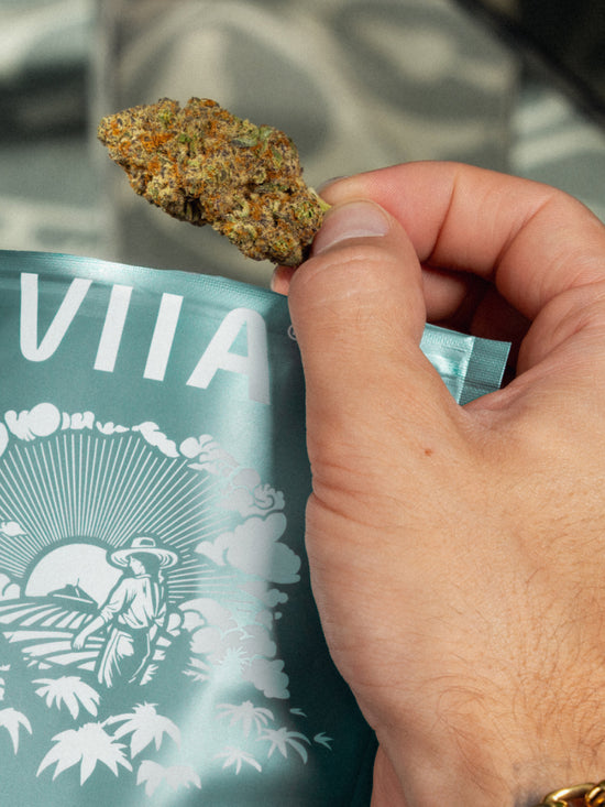 Shop Best THCA Flower Online | VIIA